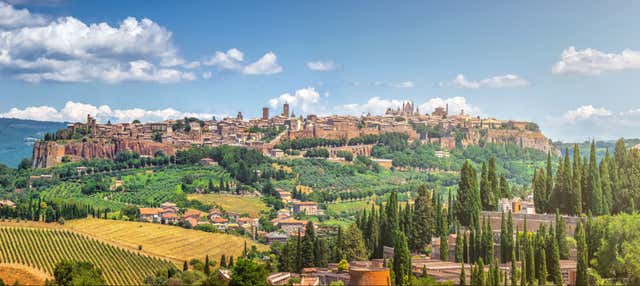 Day Trip to Assisi + Wine Tasting - Reviews 7